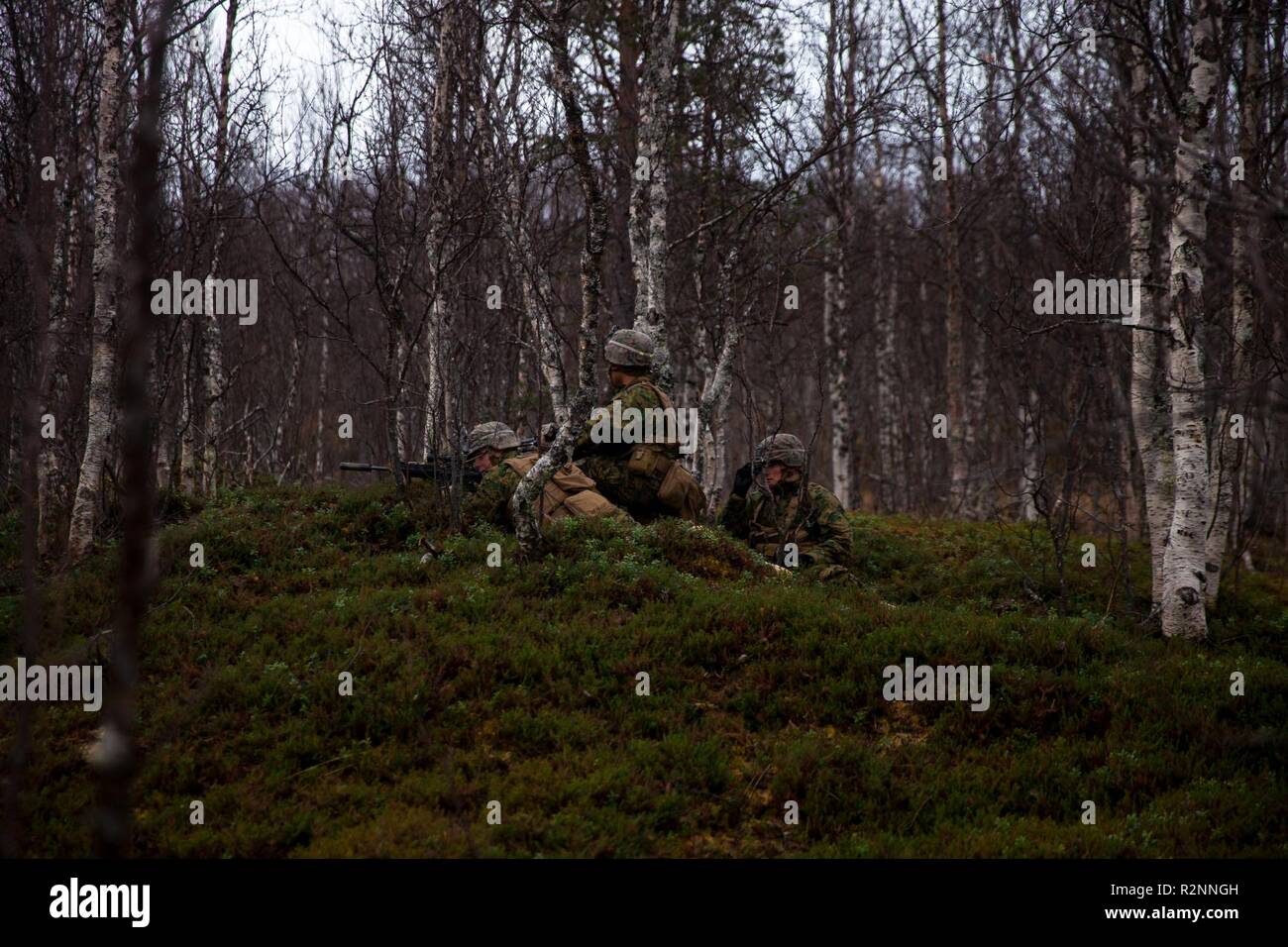 Mrf security platoon hi-res stock photography and images - Alamy