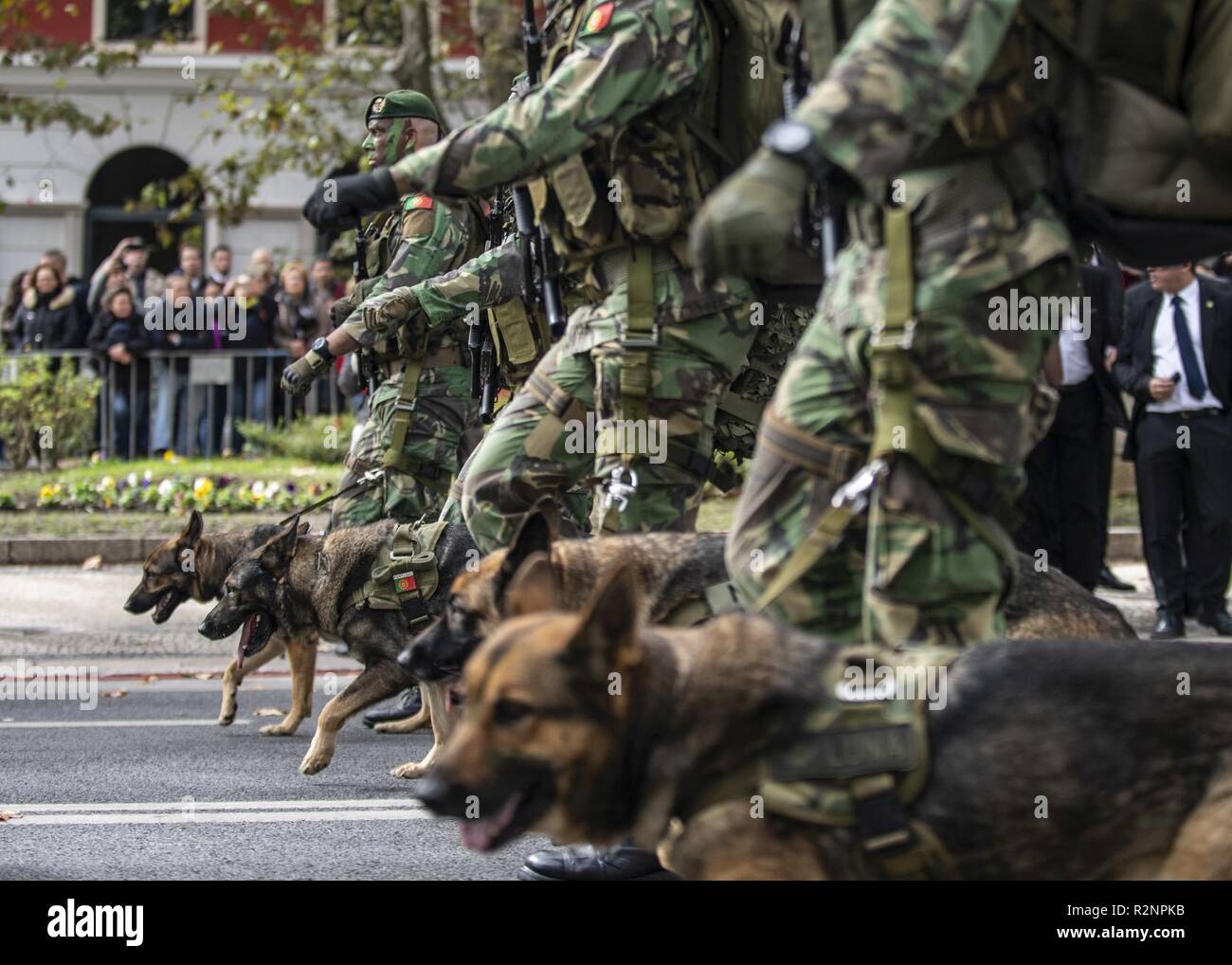LISBON, Portugal (Nov 4, 2018) Portuguese military dog handlers and ...