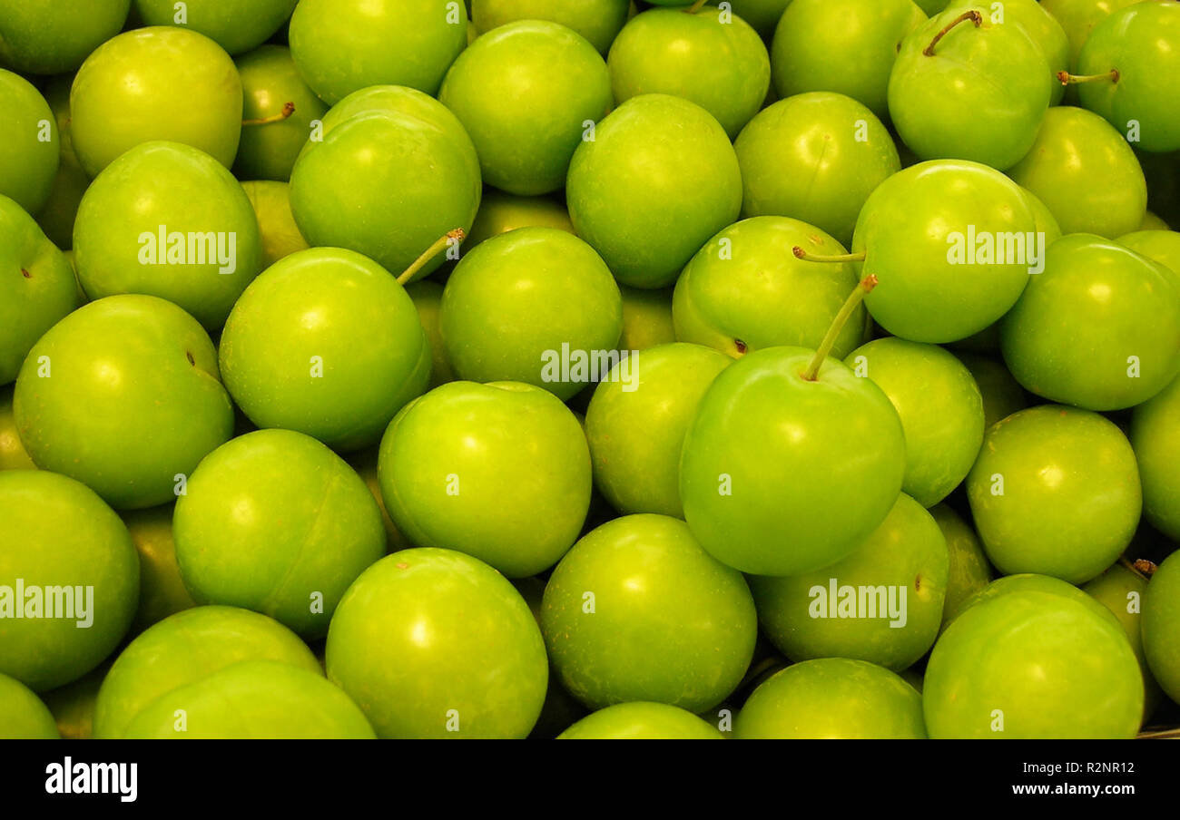 koromila - greek mirabelle Stock Photo - Alamy