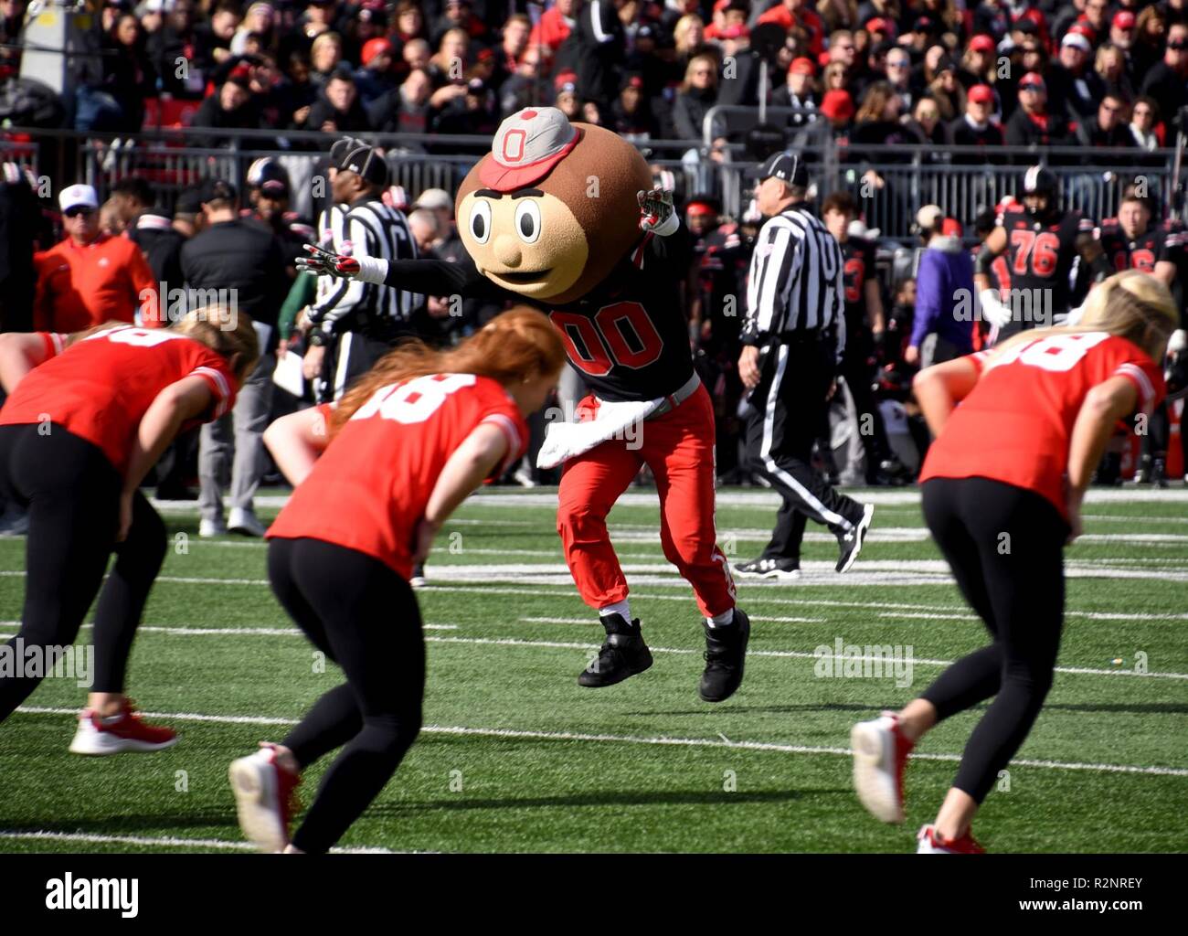 Brutus the buckeye hi-res stock photography and images - Alamy