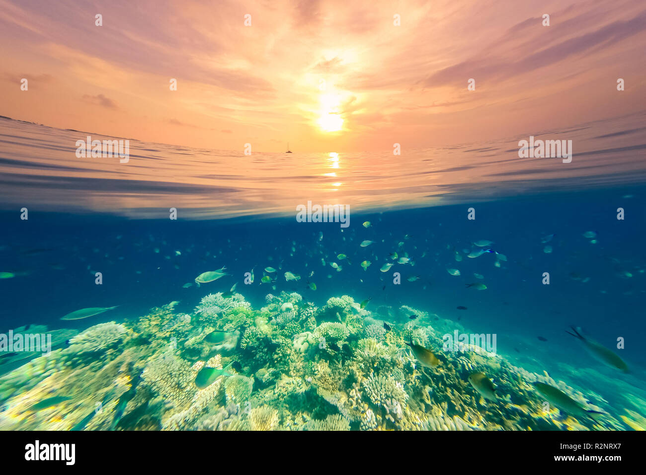 Underwater view sky hi-res stock photography and images - Alamy