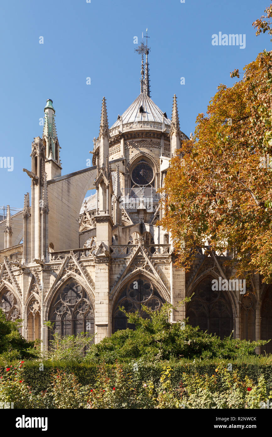 Apse of Notre-Dame de Paris from Square Jean-XXIII. Paris, France Stock ...