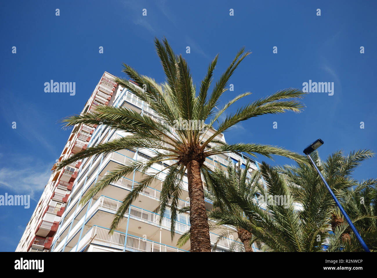 hotel building with palm tree Stock Photo - Alamy