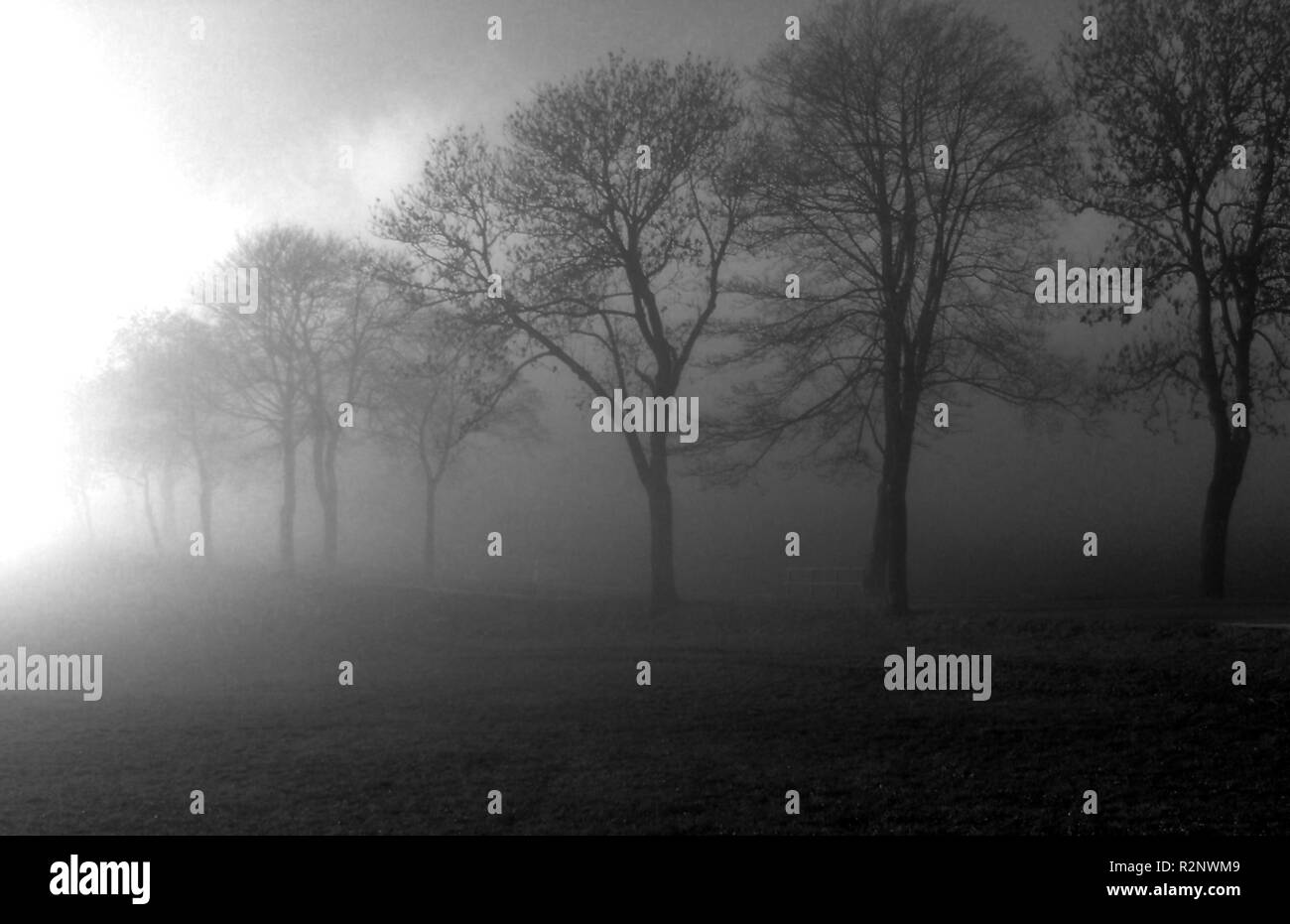 Illusory hi-res stock photography and images - Alamy