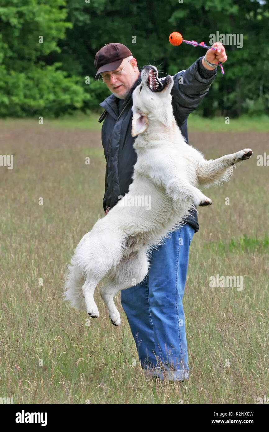 Person skipping with dog hi-res stock photography and images - Alamy