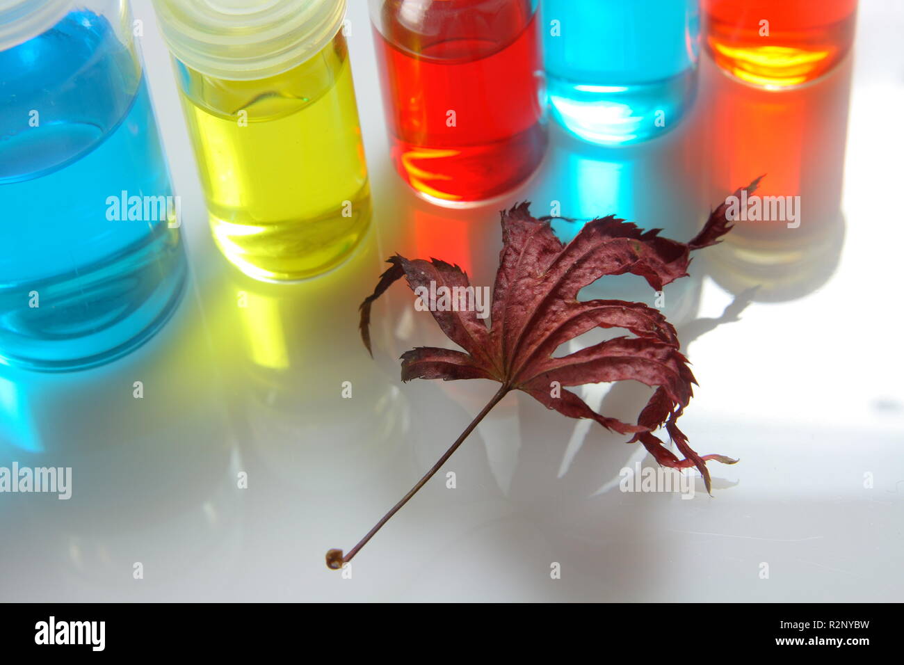 play of colors Stock Photo - Alamy