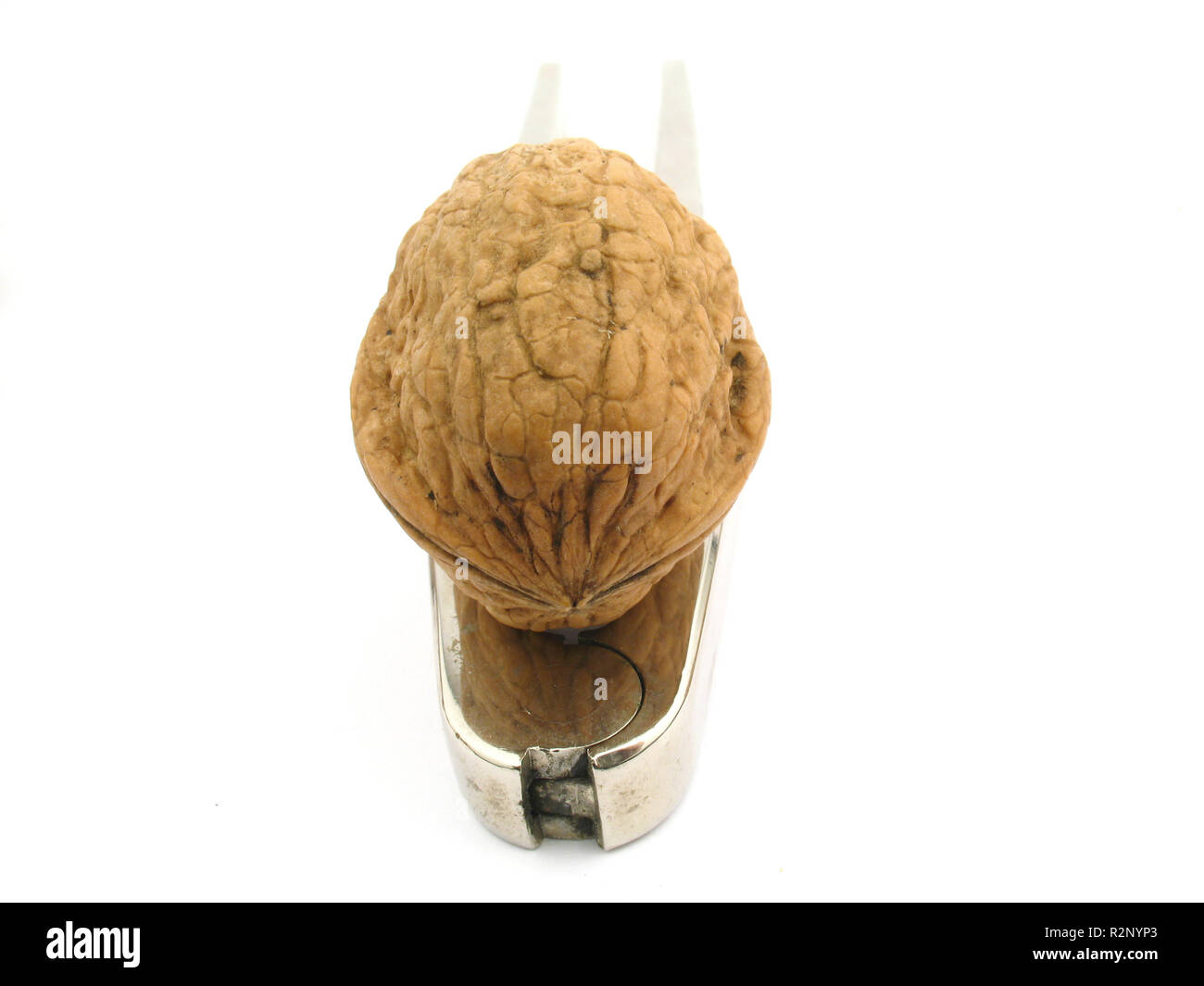 walnut with nutcracker 2 Stock Photo - Alamy