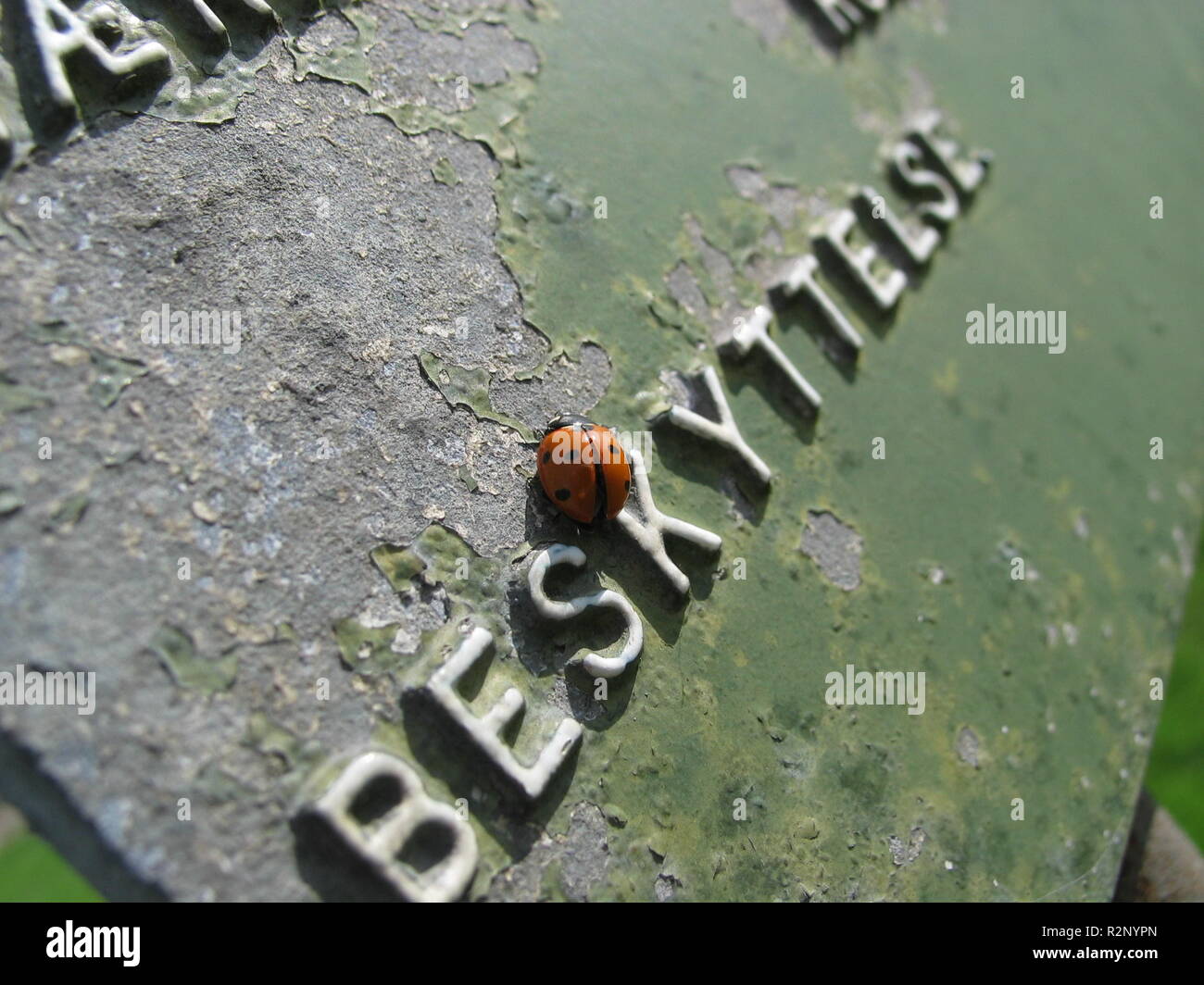 Beskyttelse hi-res stock photography and images - Alamy