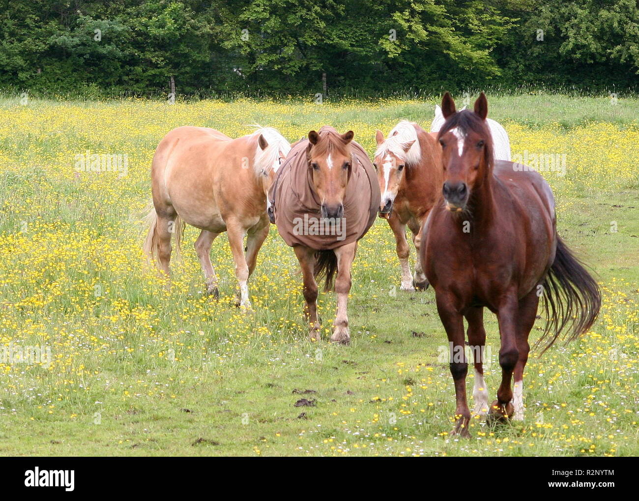 Mardal hi-res stock photography and images - Alamy