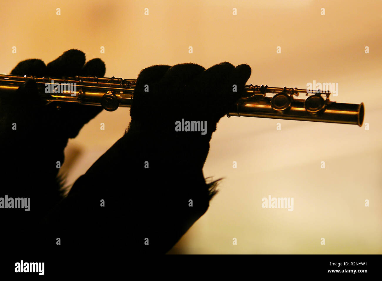 Xmas concert hi-res stock photography and images - Alamy