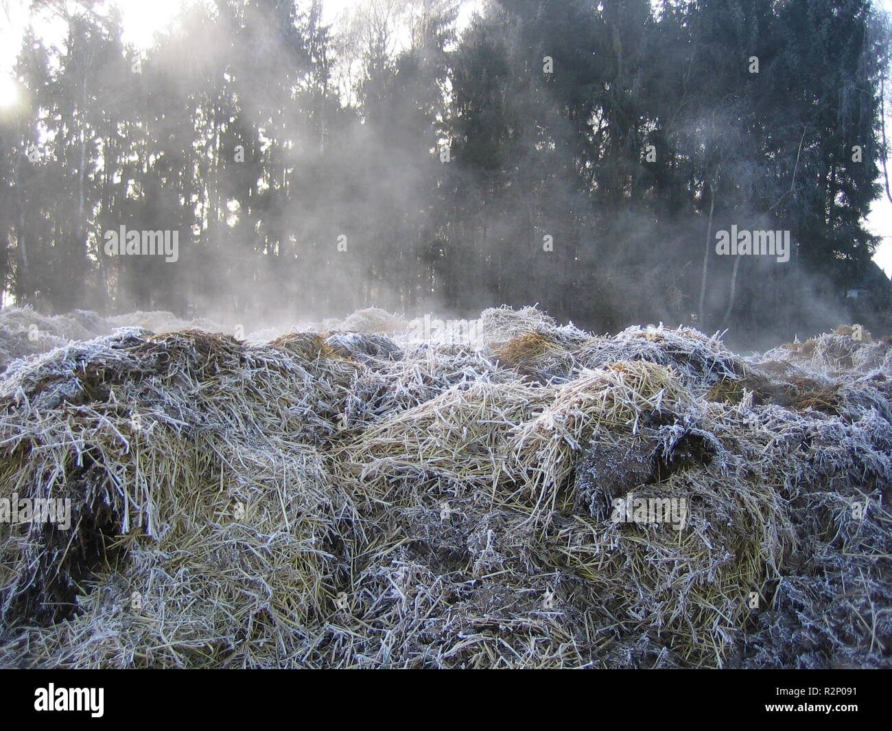 Dunghill Stock Photos & Dunghill Stock Images - Alamy