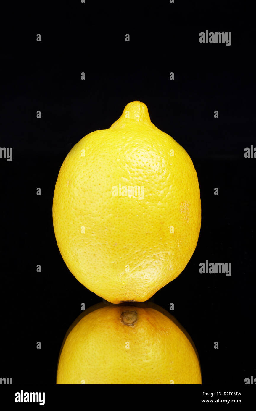 Koestlich hi-res stock photography and images - Alamy