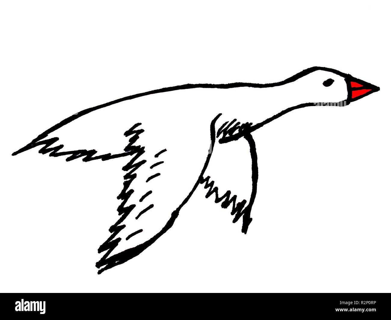 Bird Flight Drawing Stock Photos & Bird Flight Drawing Stock Images - Alamy