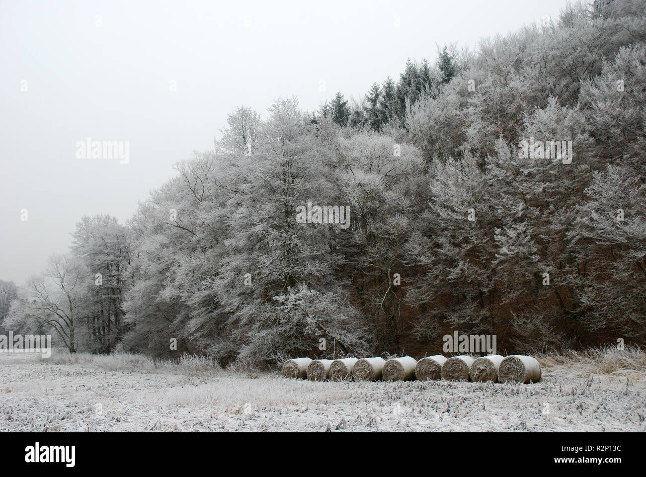 winter landscape in january Stock Photo - Alamy