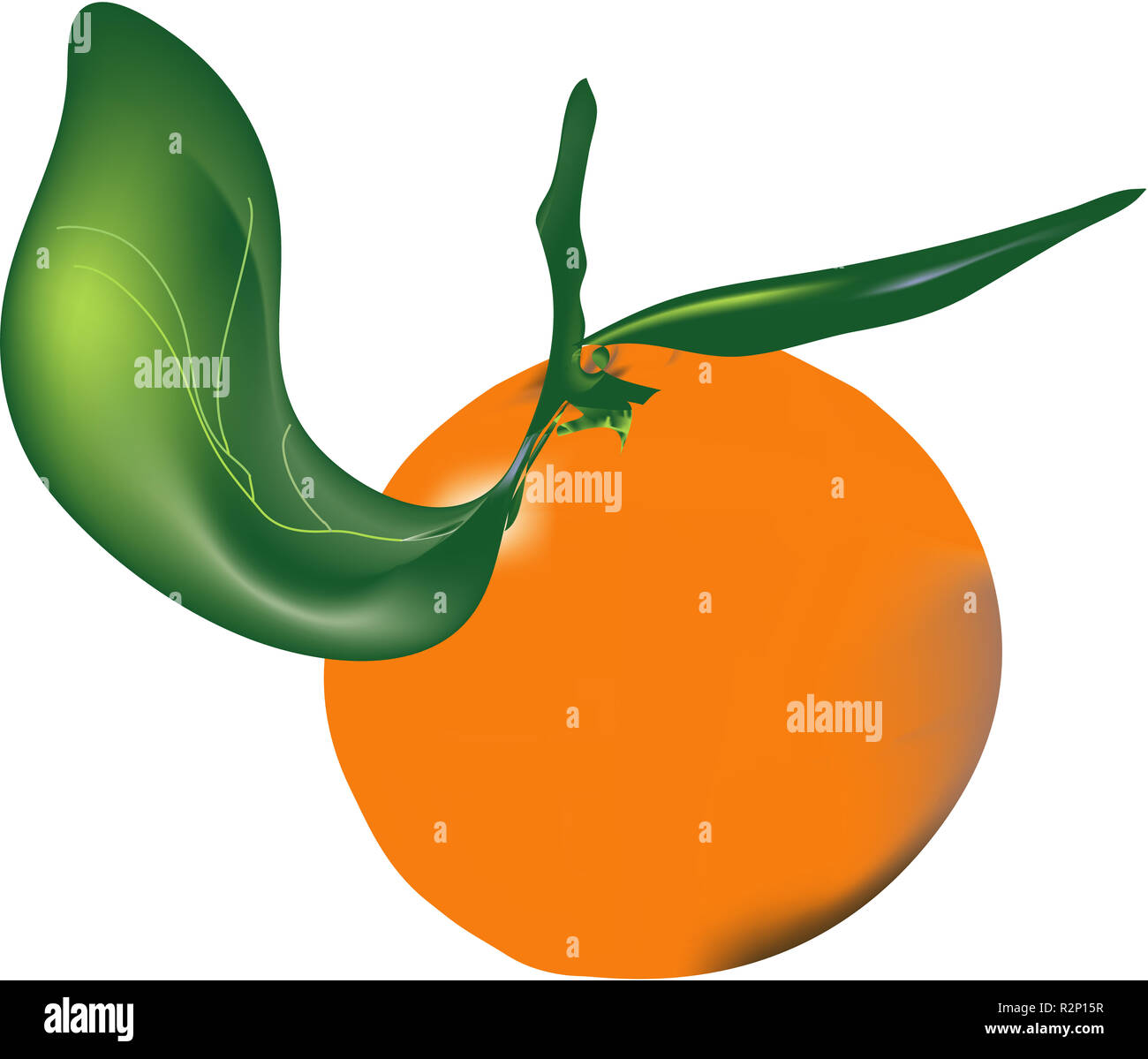 fresh orange vector illustration Stock Photo - Alamy