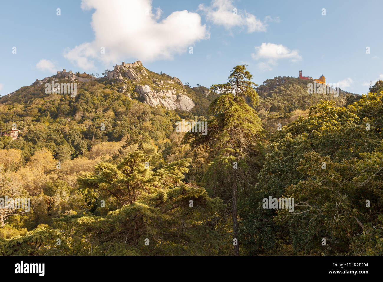 Castle of the Moors (Castelo dos Mouros) and Pena National Palace ...