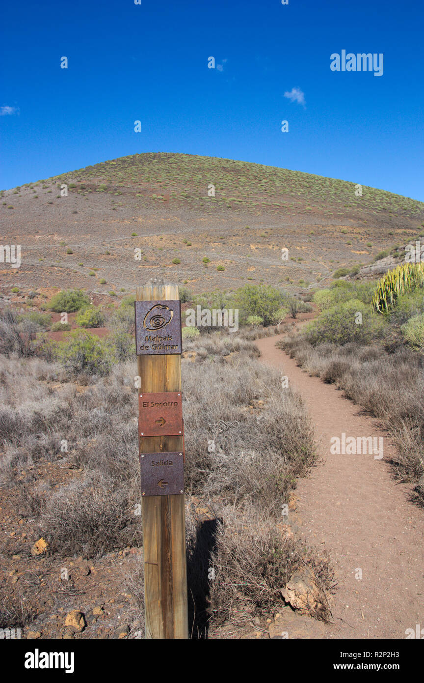 Malpais de guimar tenerife flora hi-res stock photography and images ...