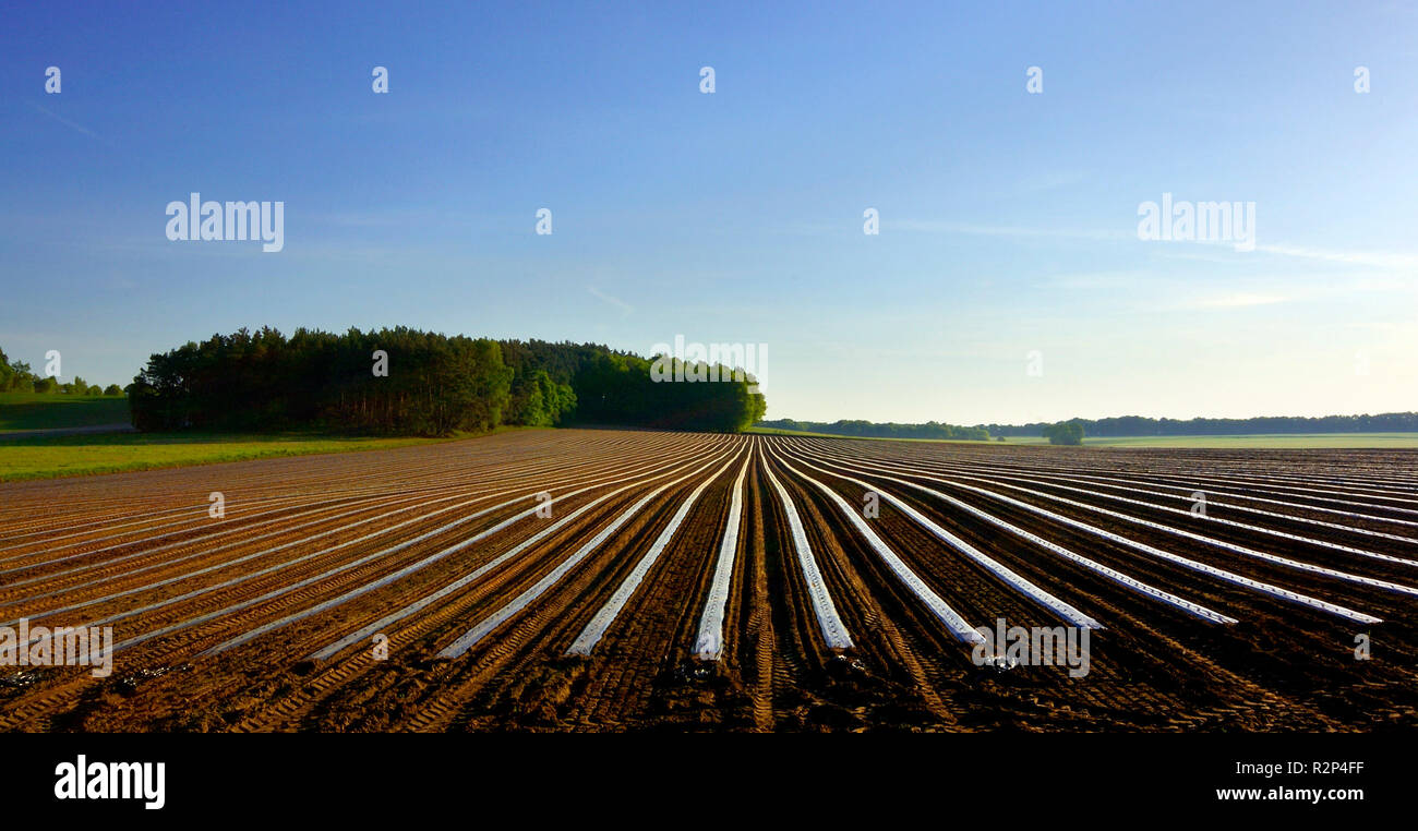 Ackerfurchen agriculture hi-res stock photography and images - Alamy