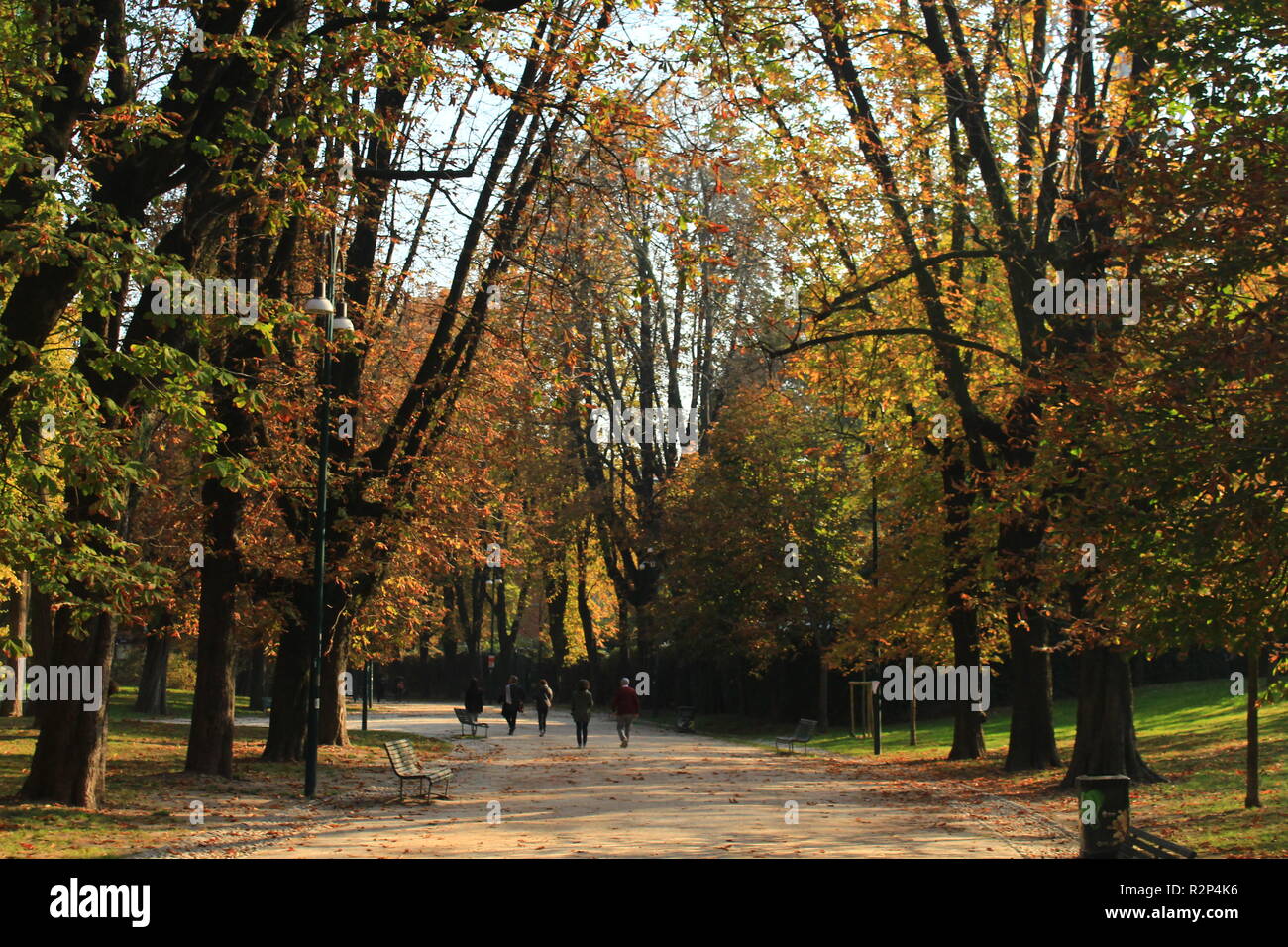 Nature park italy hi-res stock photography and images - Alamy
