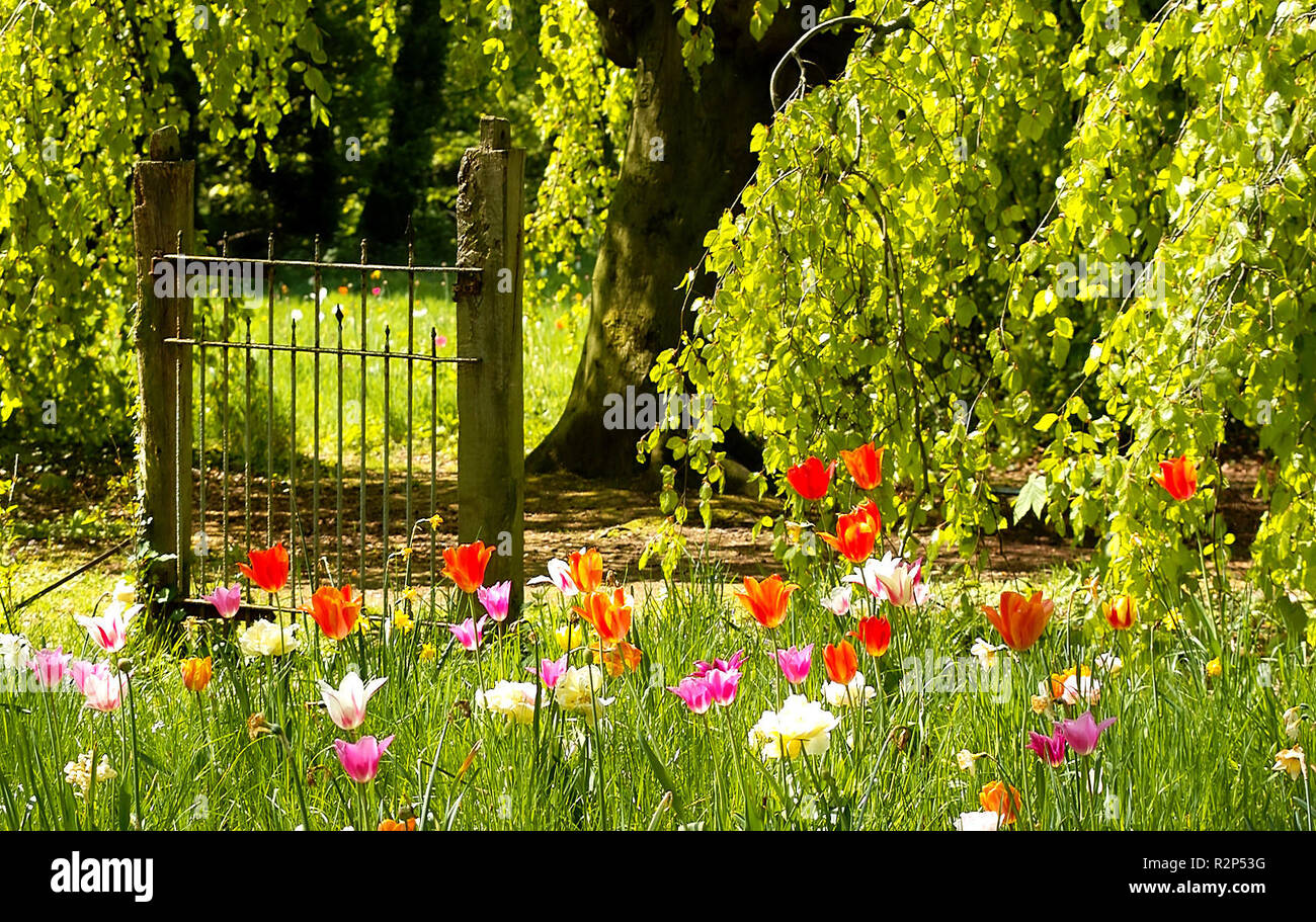 Gate ten hi-res stock photography and images - Alamy