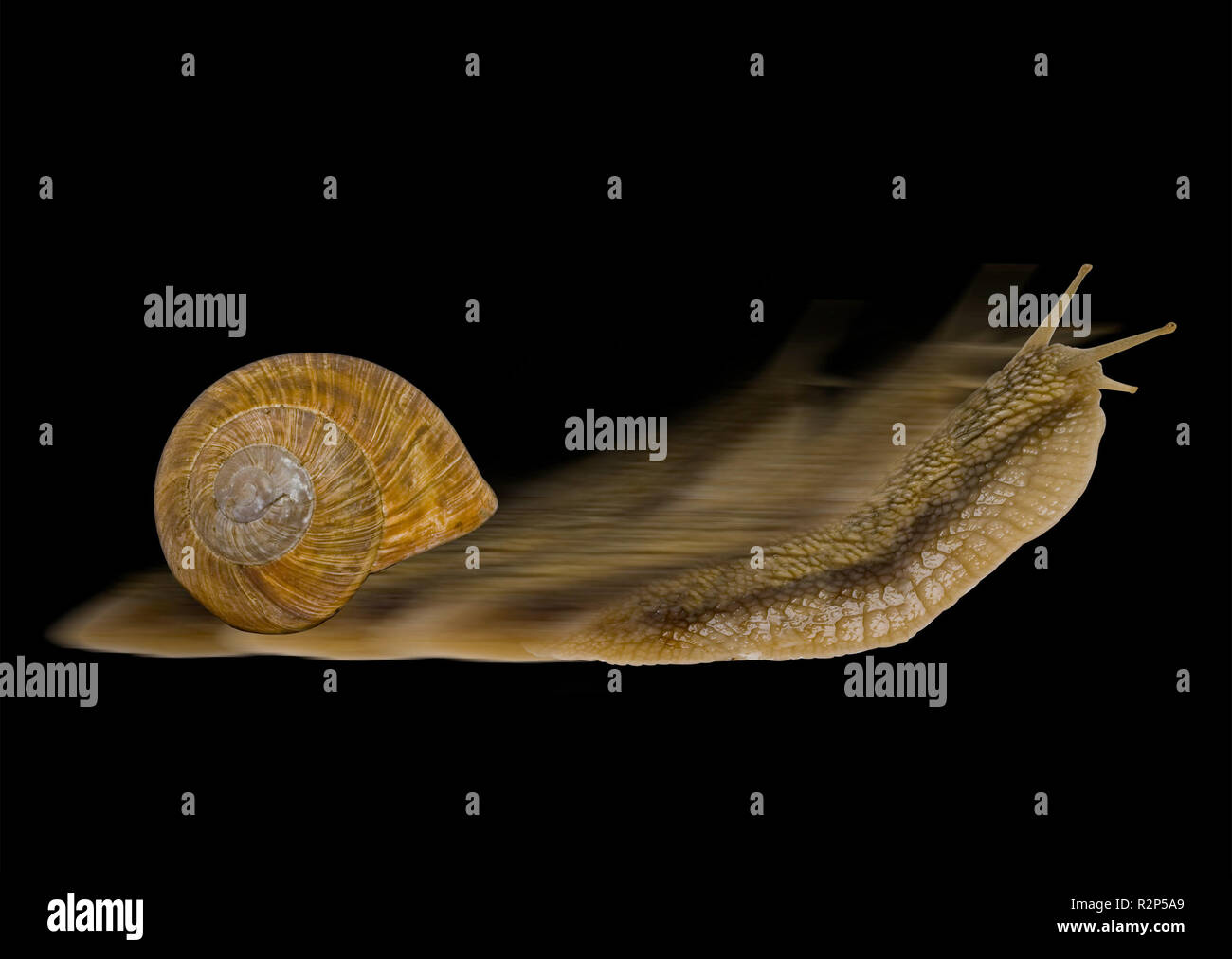 Hi speed hi-res stock photography and images - Alamy