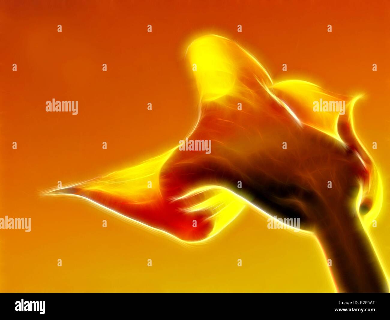 Dazzling blossom hi-res stock photography and images - Alamy