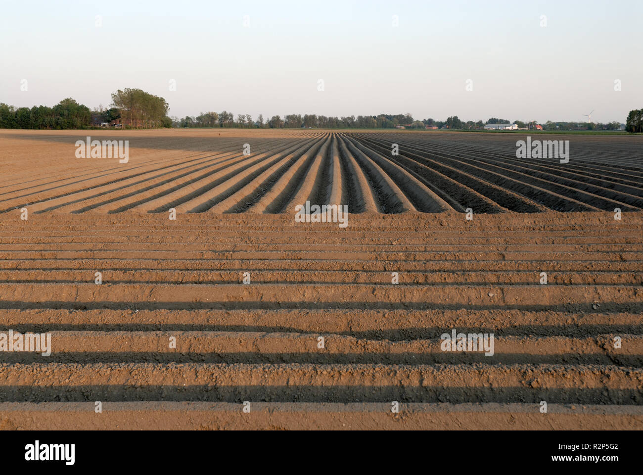 acker in holland Stock Photo - Alamy