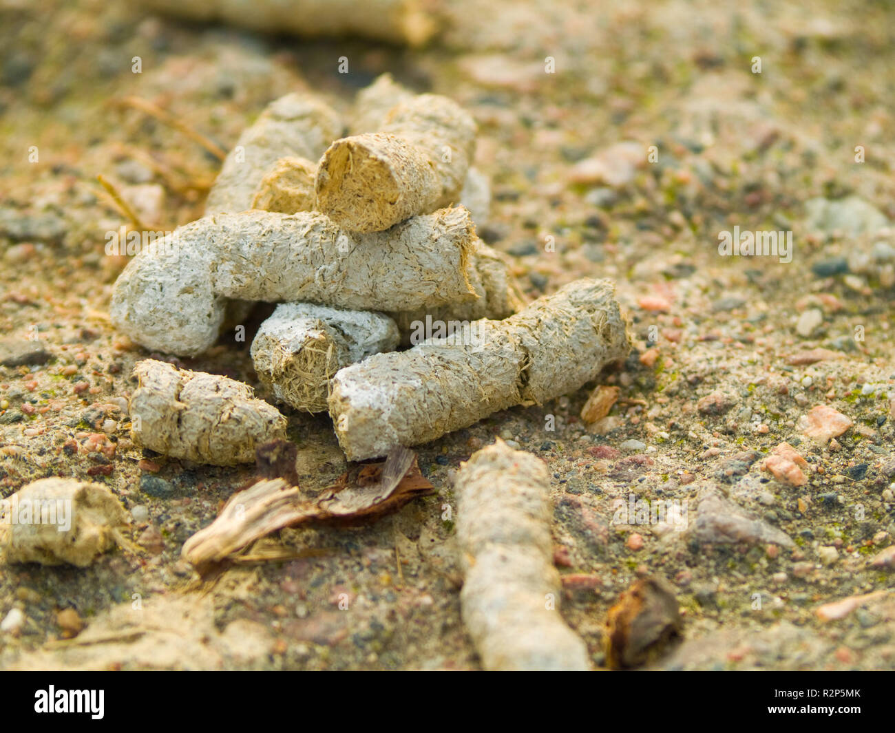 Goose poo hi-res stock photography and images - Alamy