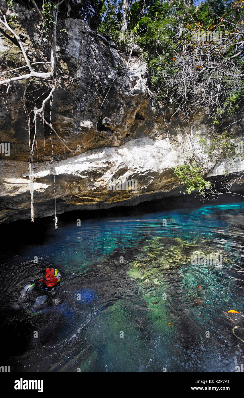 Free diving cenote hi-res stock photography and images - Alamy