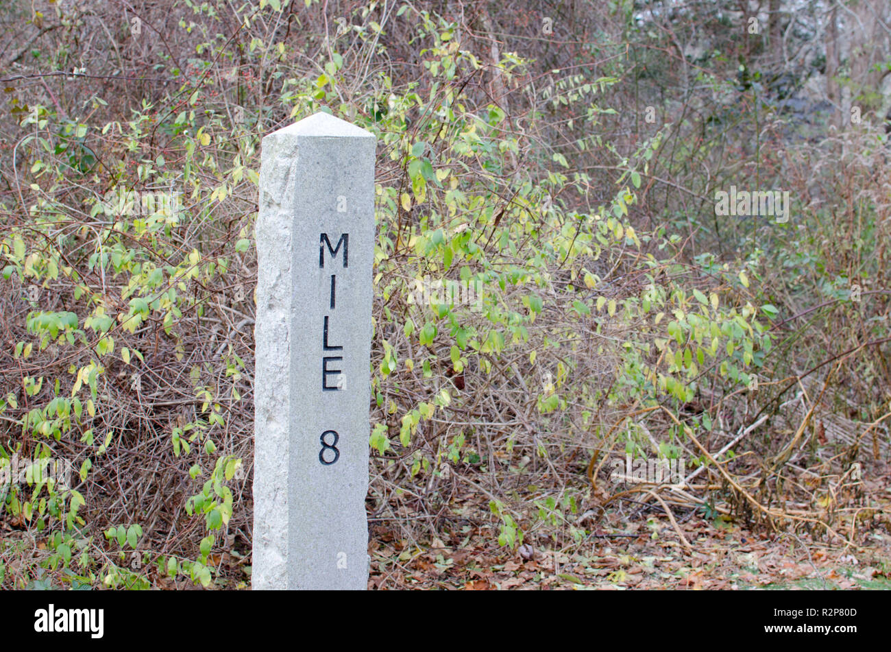 Granite Post engraved with Mile 8 on the side of the Shining Sea ...