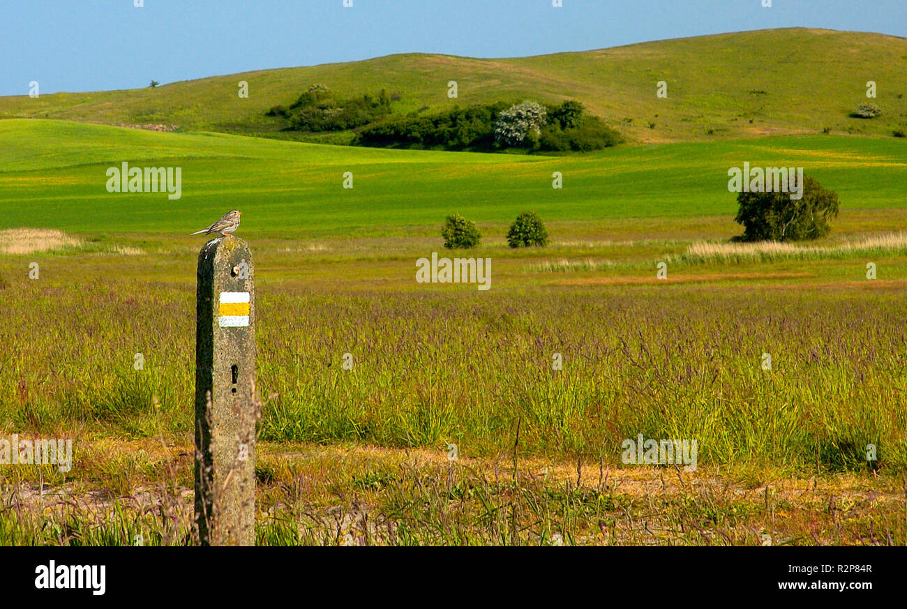 Grasha gel hi-res stock photography and images - Alamy