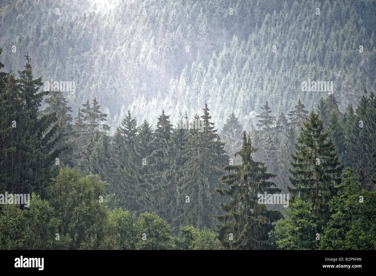 Berge im nebel hi-res stock photography and images - Alamy