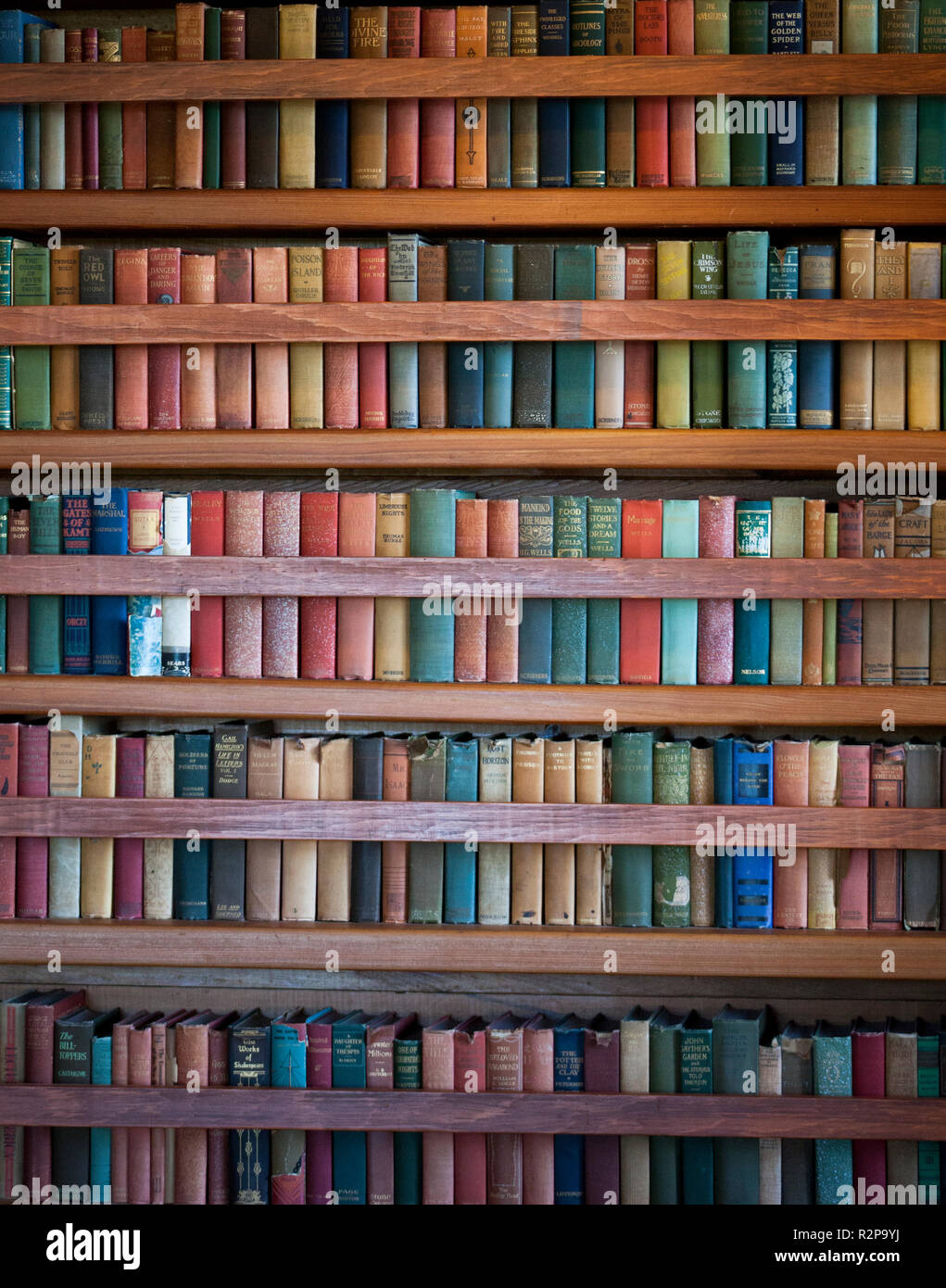 Fiction and nonfiction books hi-res stock photography and images - Alamy