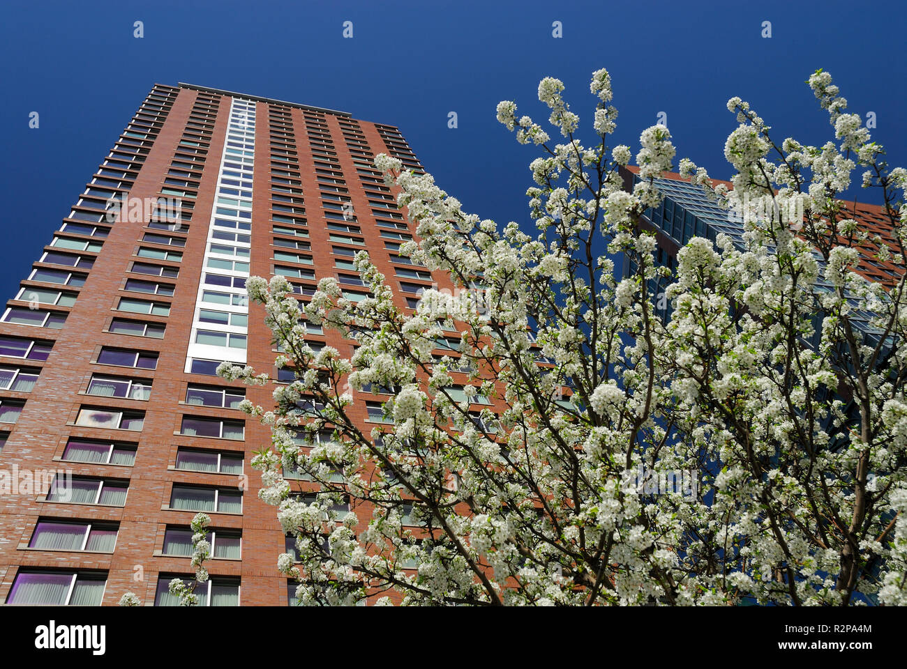 spring in the city Stock Photo - Alamy