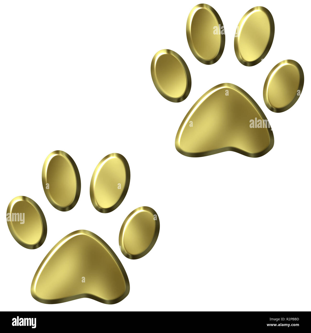 Big dog footprint hi-res stock photography and images - Alamy