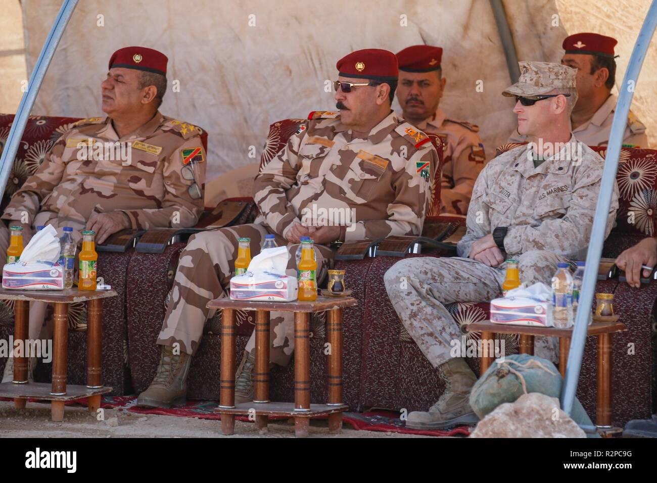 Task force lion hi-res stock photography and images - Alamy