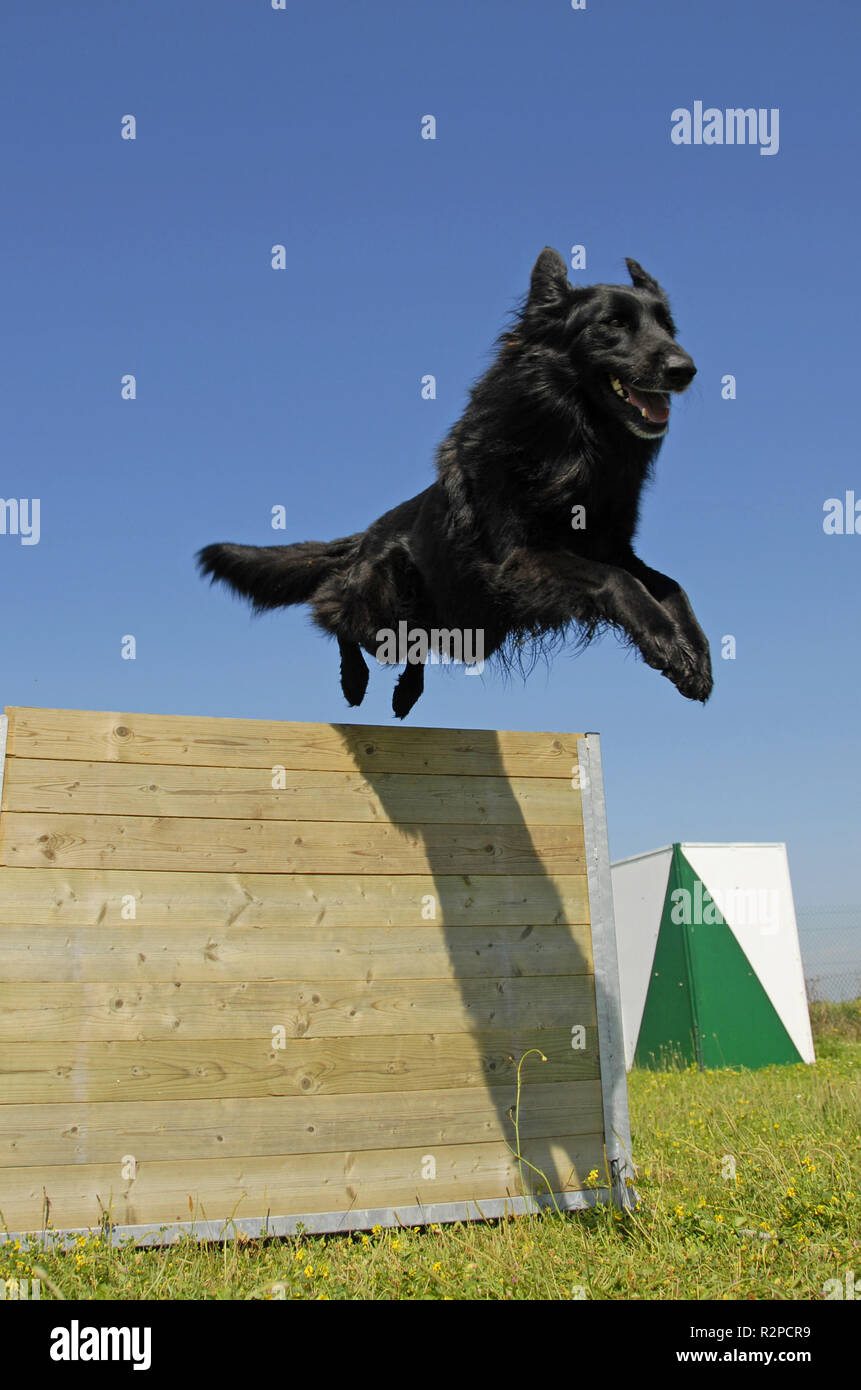 Groendal hi-res stock photography and images - Alamy