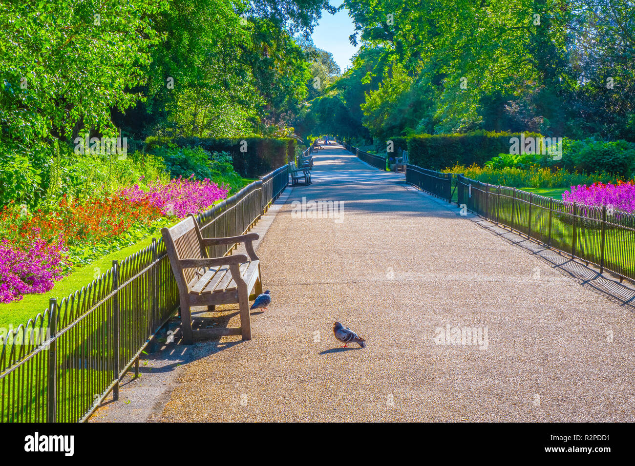 Beautiful nature at Kensington Gardens in London, UK Stock Photo - Alamy