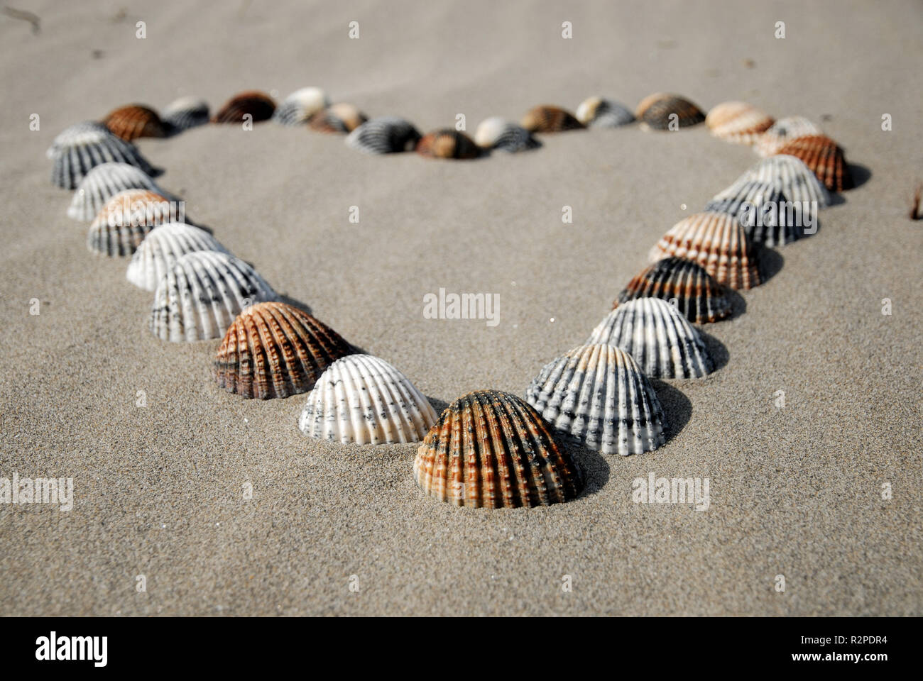 Heart of mussels at the beach hi-res stock photography and images - Alamy