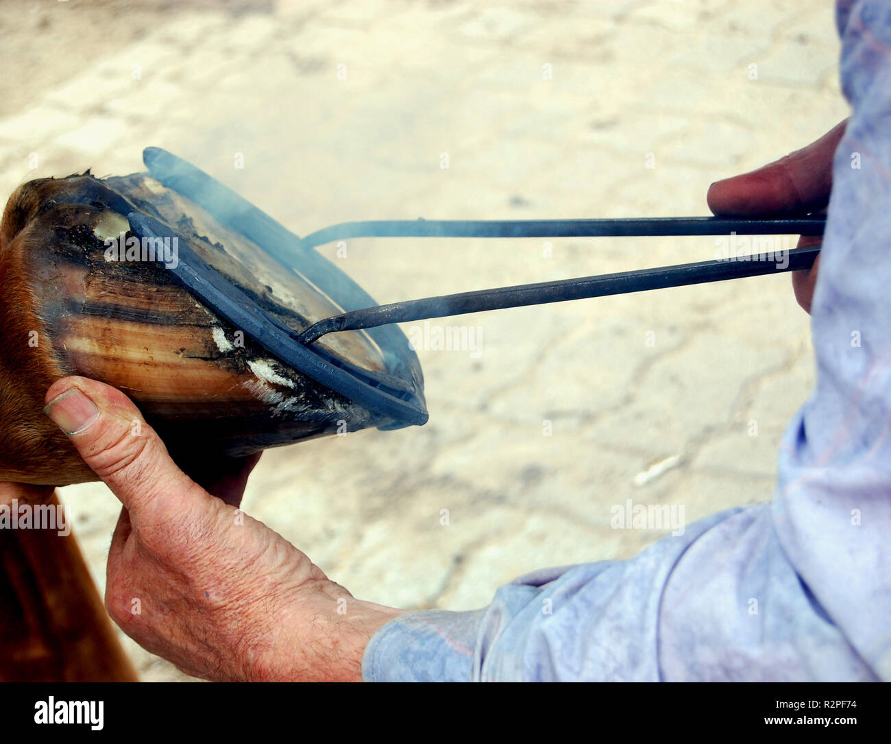 work the farrier Stock Photo - Alamy