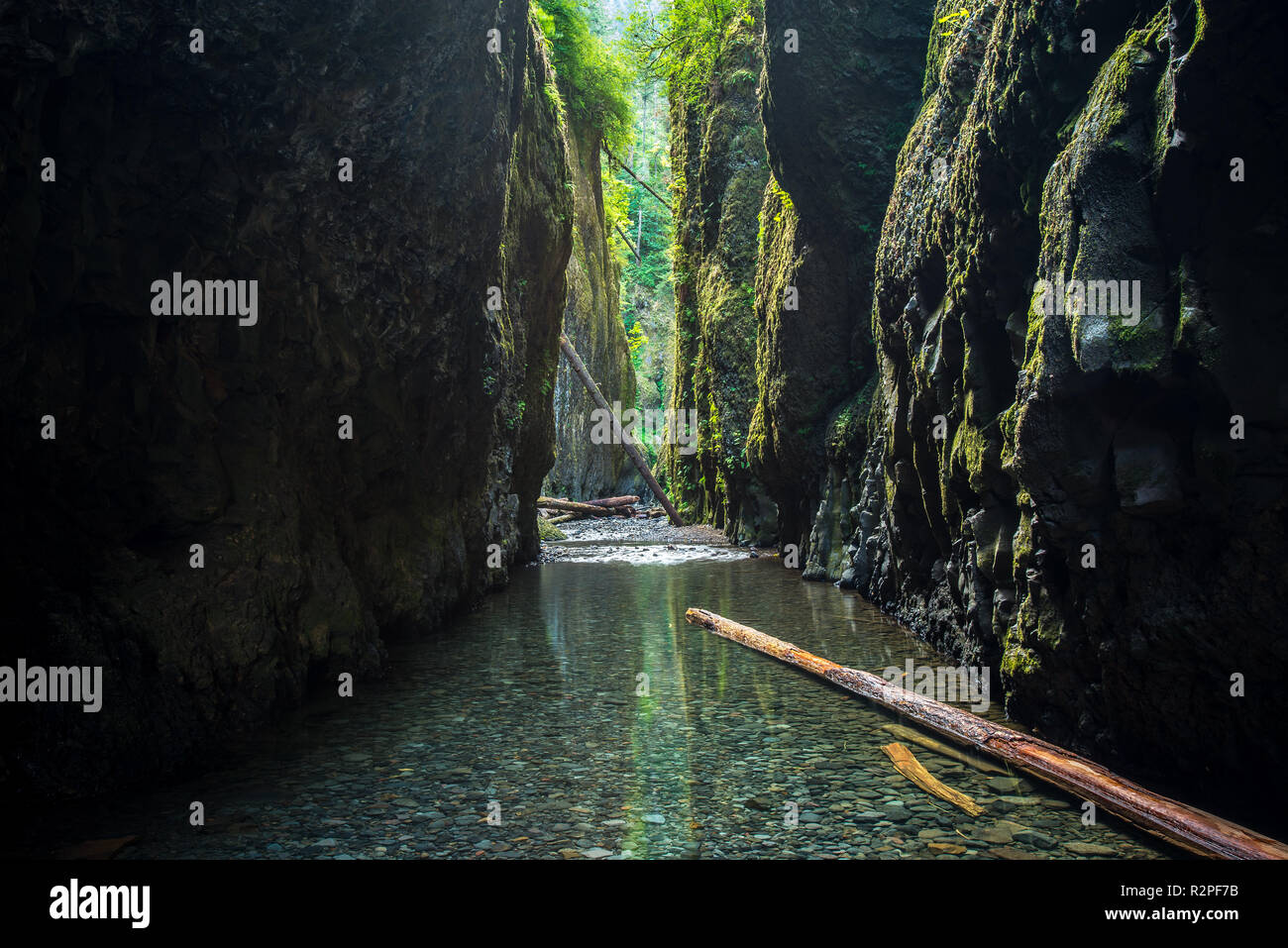 The trail through Oneonta Gorge en route to Oneonta Falls in Multnomah ...