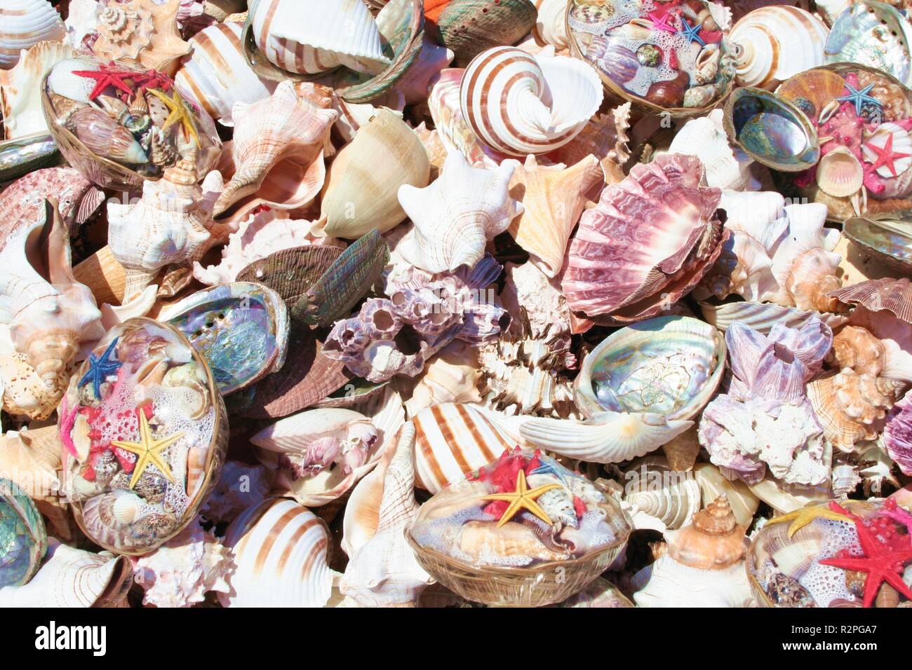 Hodgepodge hi-res stock photography and images - Alamy