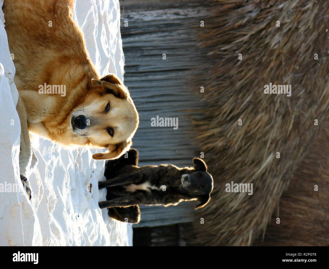 Unowned hi-res stock photography and images - Alamy