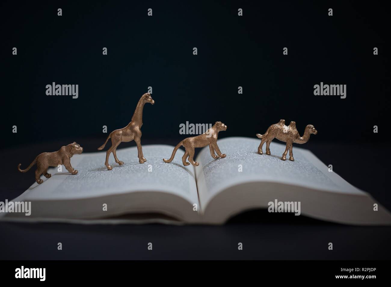 An open book with wild animal figurines walking across it Stock Photo ...