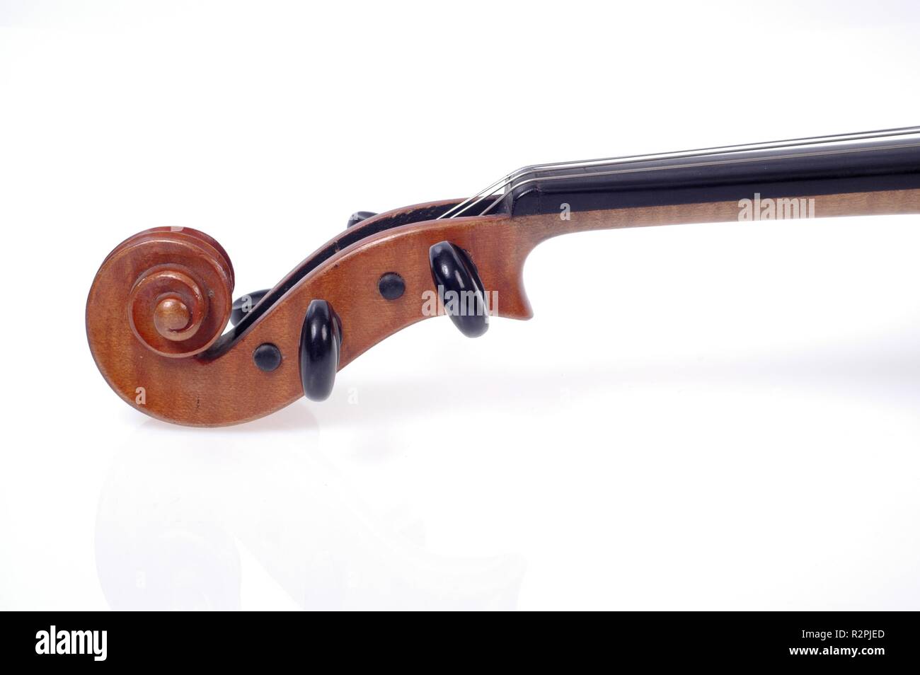 Neck Violin High Resolution Stock Photography and Images - Alamy