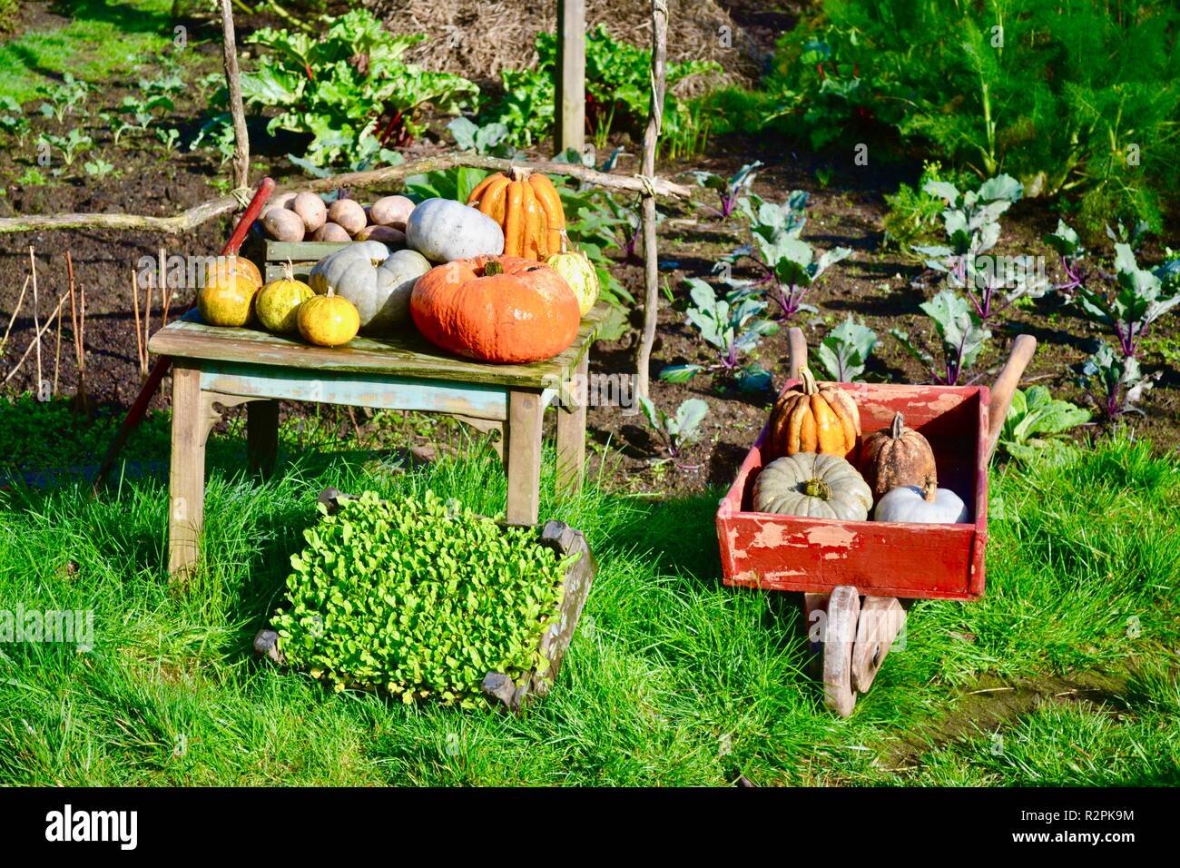 Iconic Props High Resolution Stock Photography and Images - Alamy