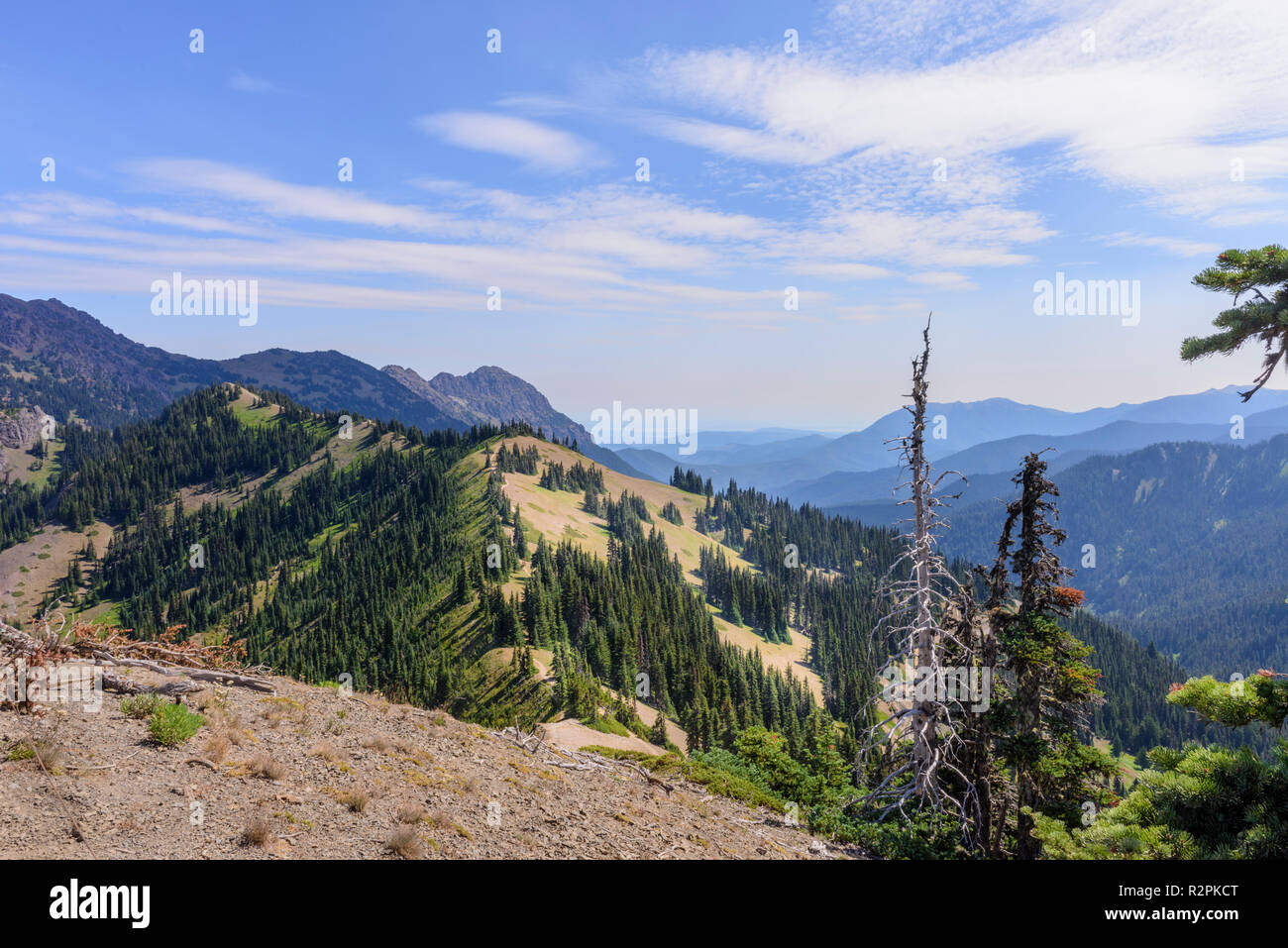 Hurricane ridge hi-res stock photography and images - Alamy