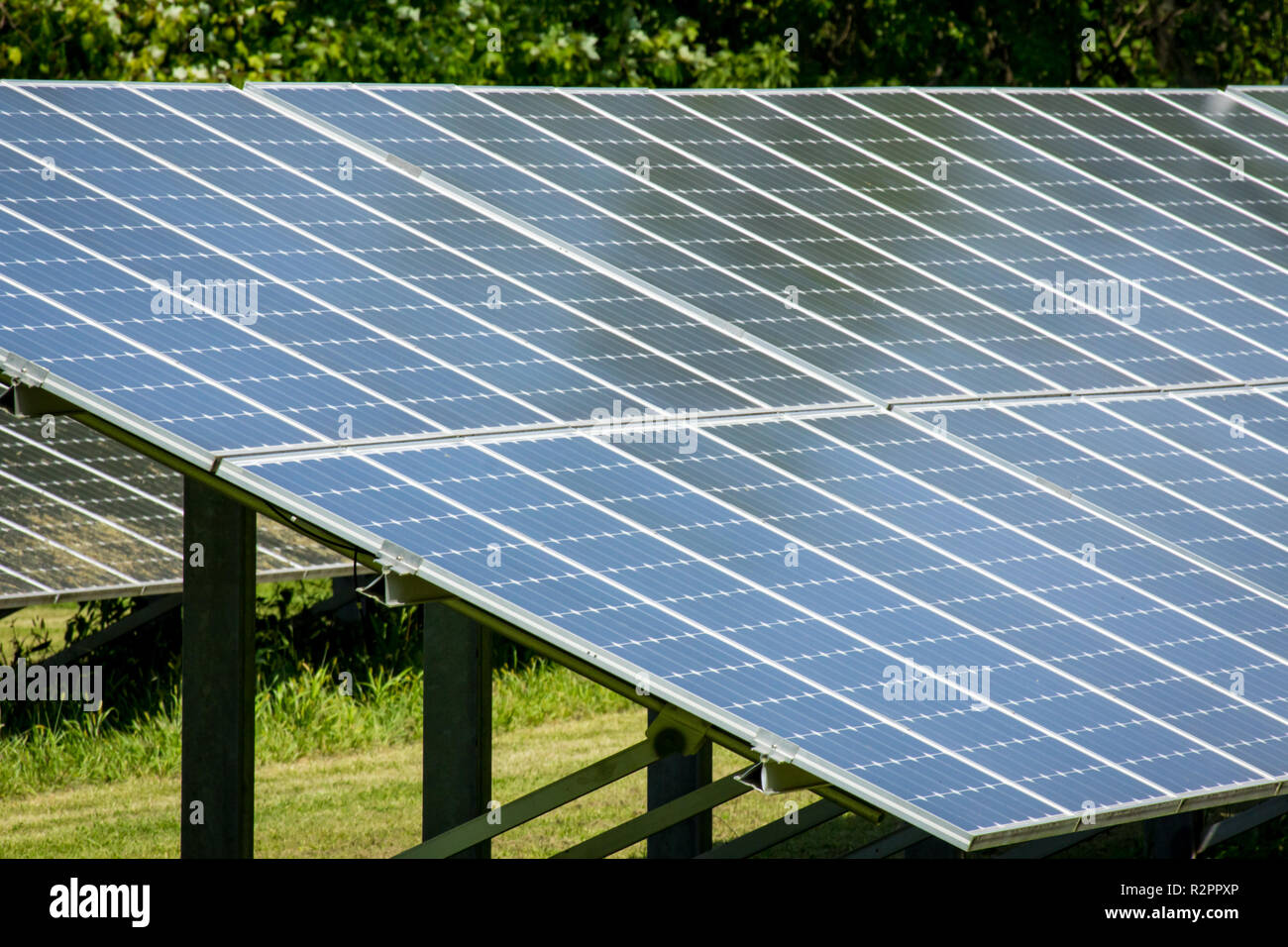 Solar panels absorbing the suns energy on hot summer day Stock Photo ...