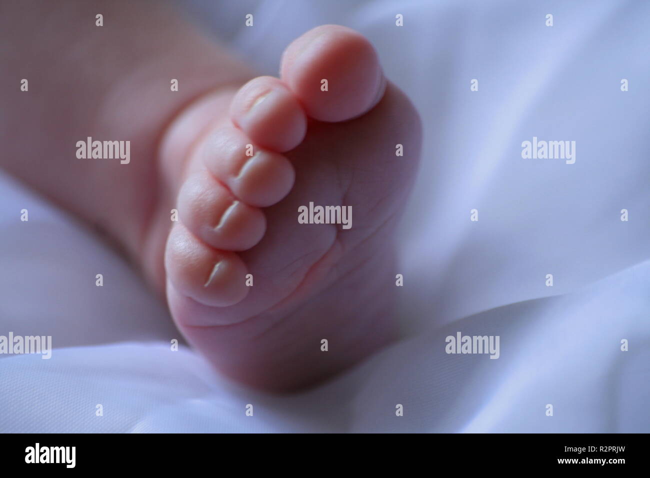 Littlefoot hi-res stock photography and images - Alamy