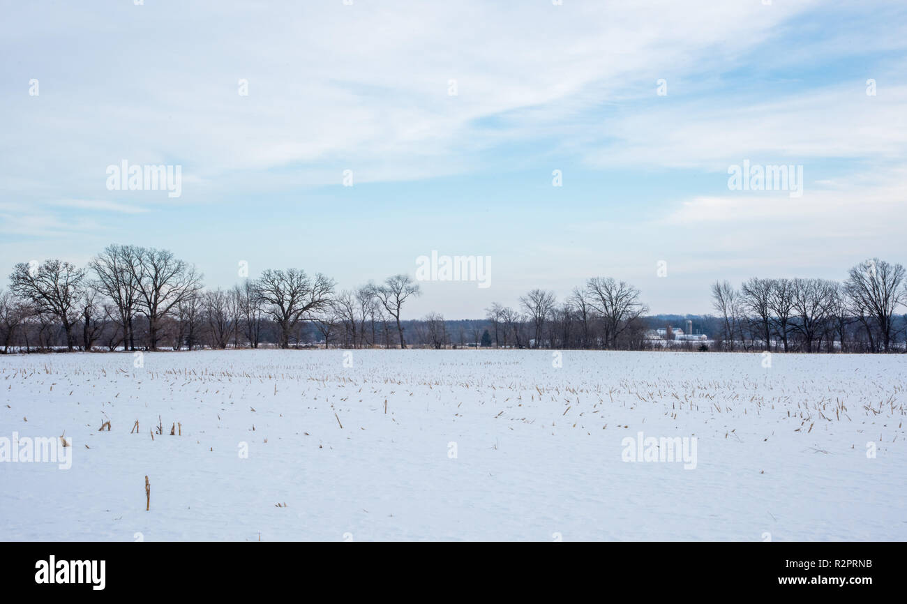 Open field surrounded by trees hi-res stock photography and images - Alamy
